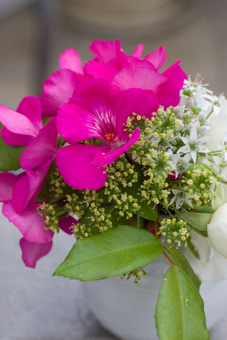Mini Garden Flower Arrangement: Rose, Geranium, Parsley and Chive